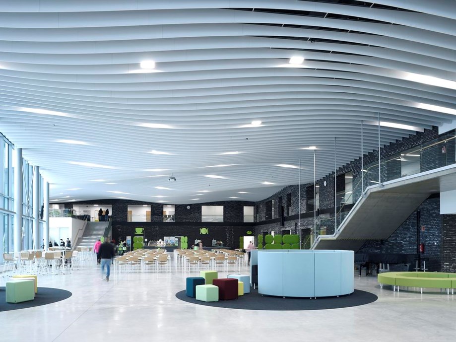 Ecophon Acoustic Ceiling Baffles | Shelly Lighting